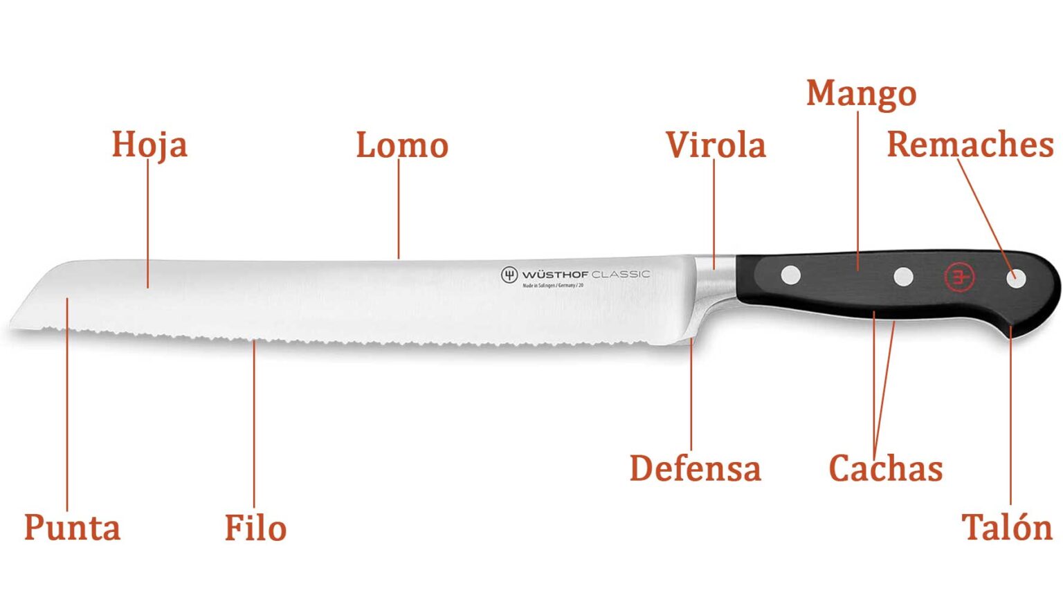 Cuchillo para cortar pan | Arte del Corte